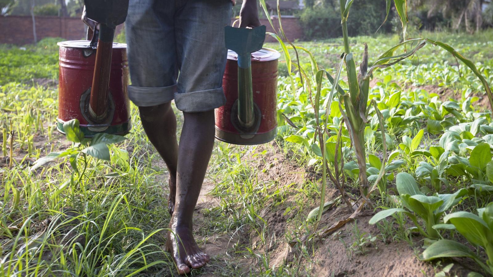 Building Shared Skills On Tools For Managing Water Across River Basins